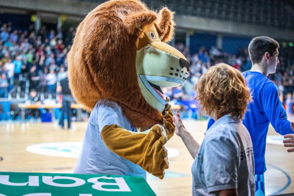 PSK Lions - das Maskottchen Malex im Interview - meinKA