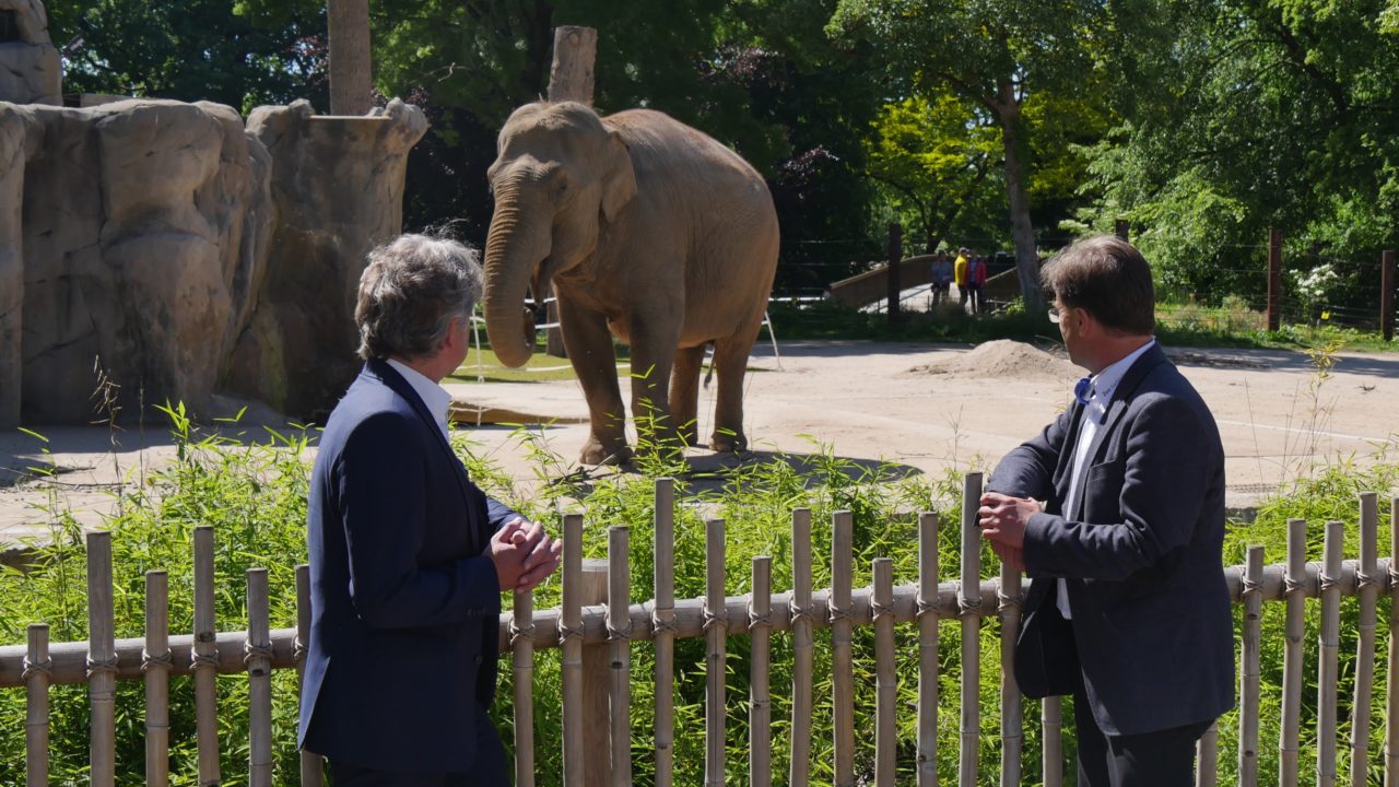 Corona-Pandemie: Wiedereröffnung des Karlsruher Zoos | 2020 - meinKA