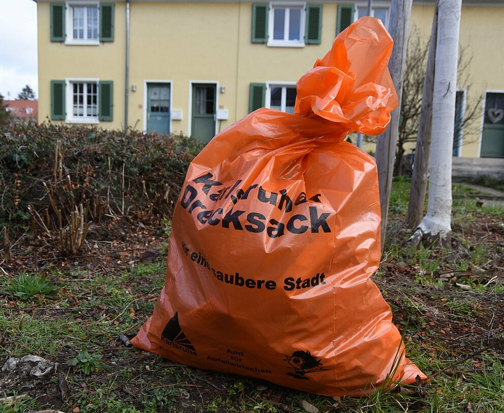 15.670 Menschen nahmen teil: Neuer Rekord bei den Karlsruher "Dreck-weg ...